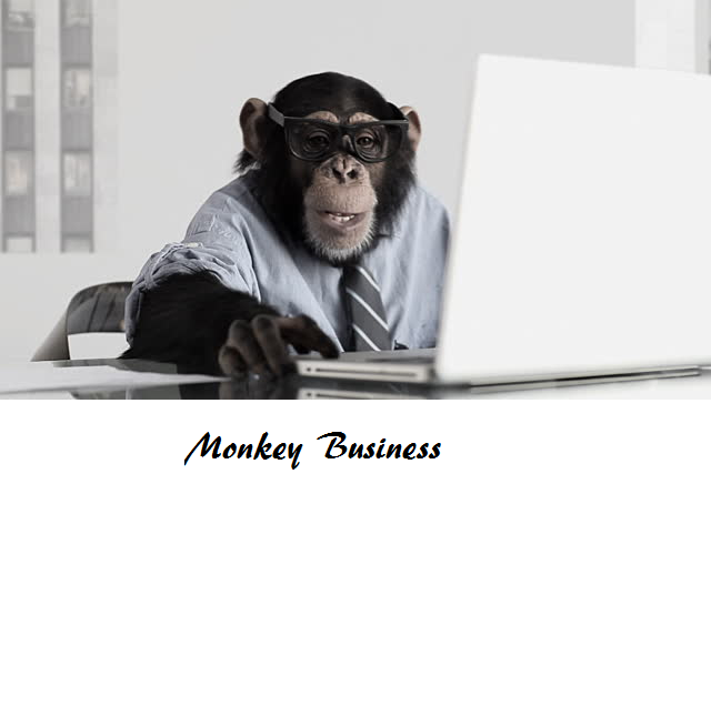 Monkey Business – Kidly Friendly